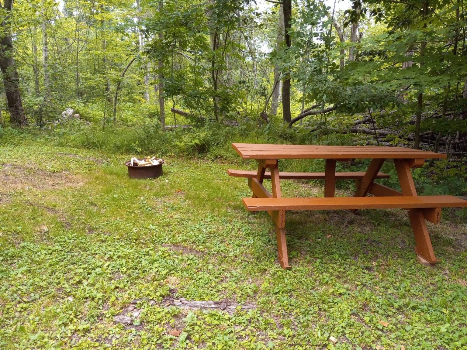 Amenities – Homestead Park Campground