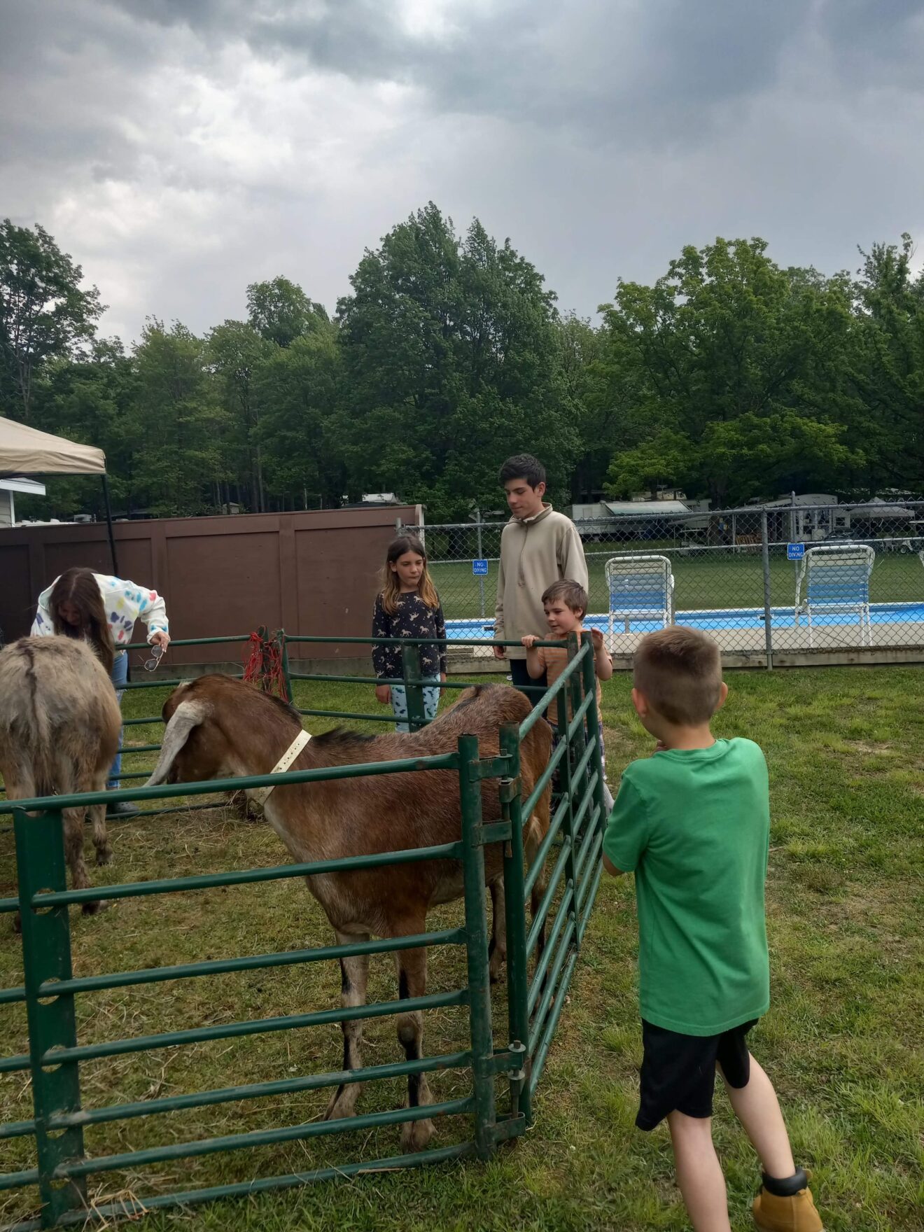 Petting Zoo – Homestead Park Campground